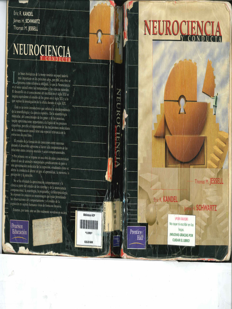 Kandel E. Neurociencias y Conducta. Capítulo 34 | PDF