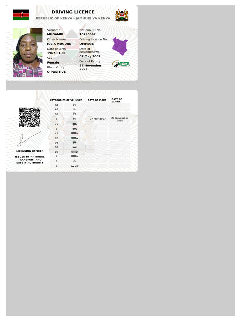 DLR-8J6U8OOWD-Electronic Driving License | PDF