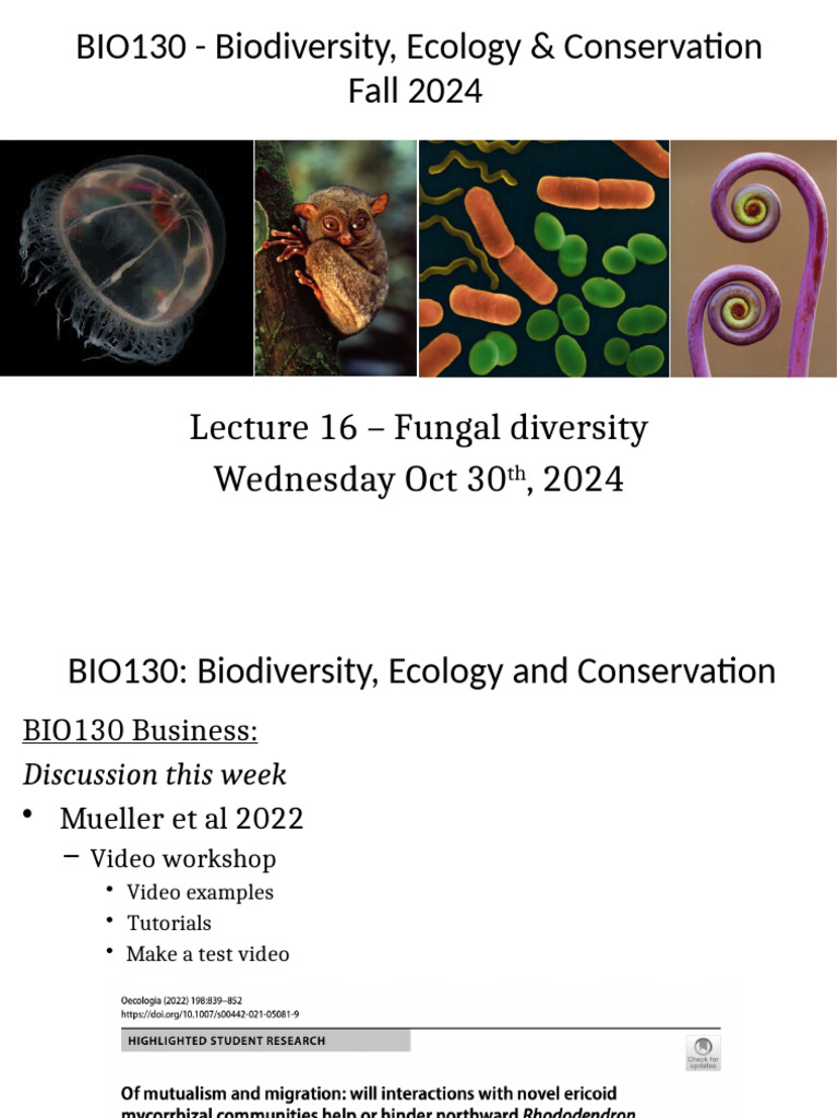 Lecture 16 Fungi Pdf Fungus Sexual Reproduction