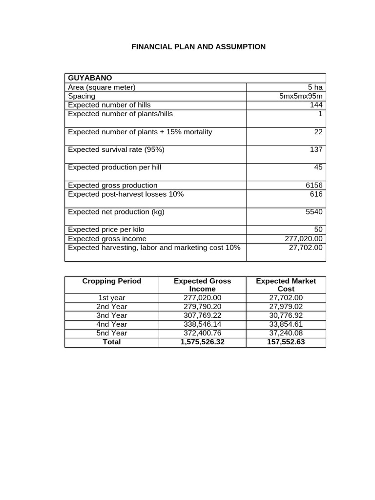 FINANCIAL PLAN AND ASSUMPTION | PDF | Income | Agriculture