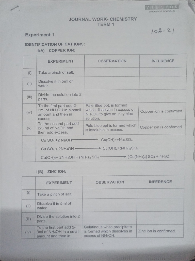 Chemistry Practicals Grade X | PDF