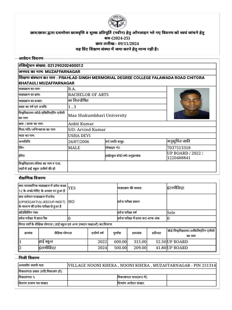 Summary Report Not Final Ankit | PDF