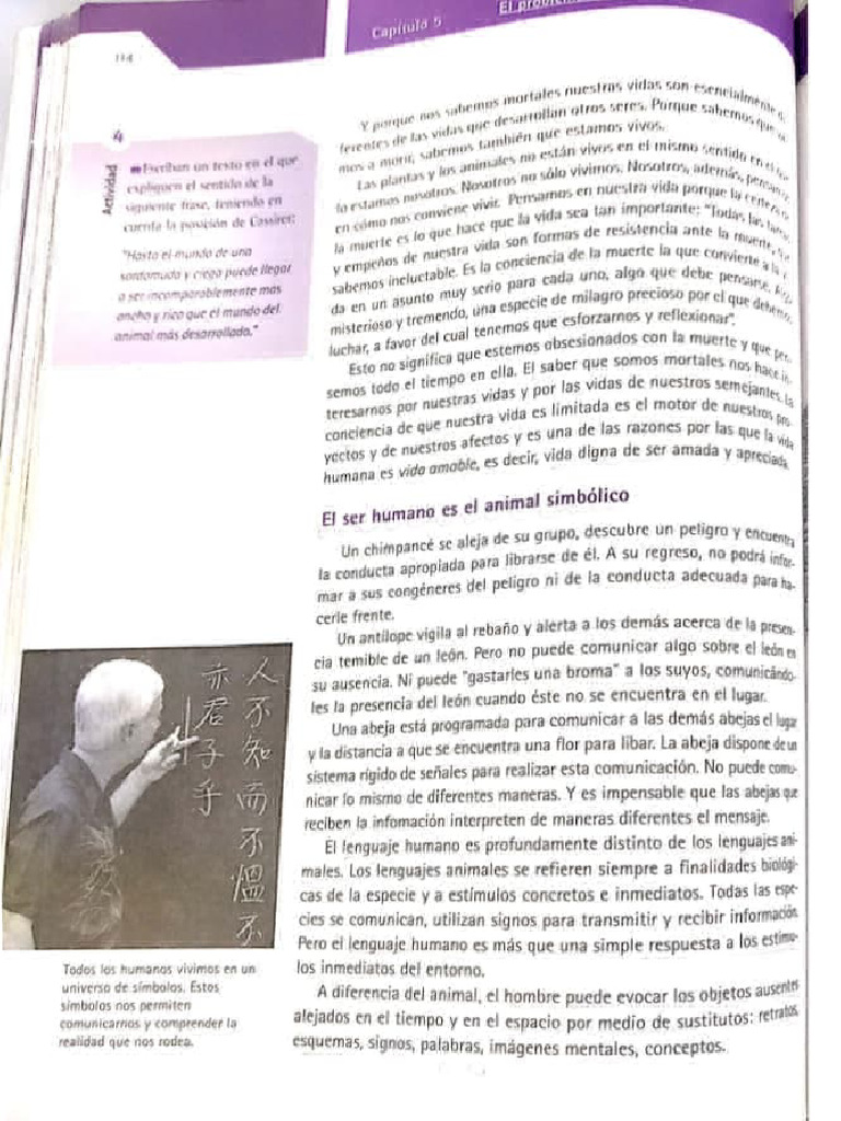 Animal Simbólico. Homo Videns | PDF | Comprensión | Pensamiento