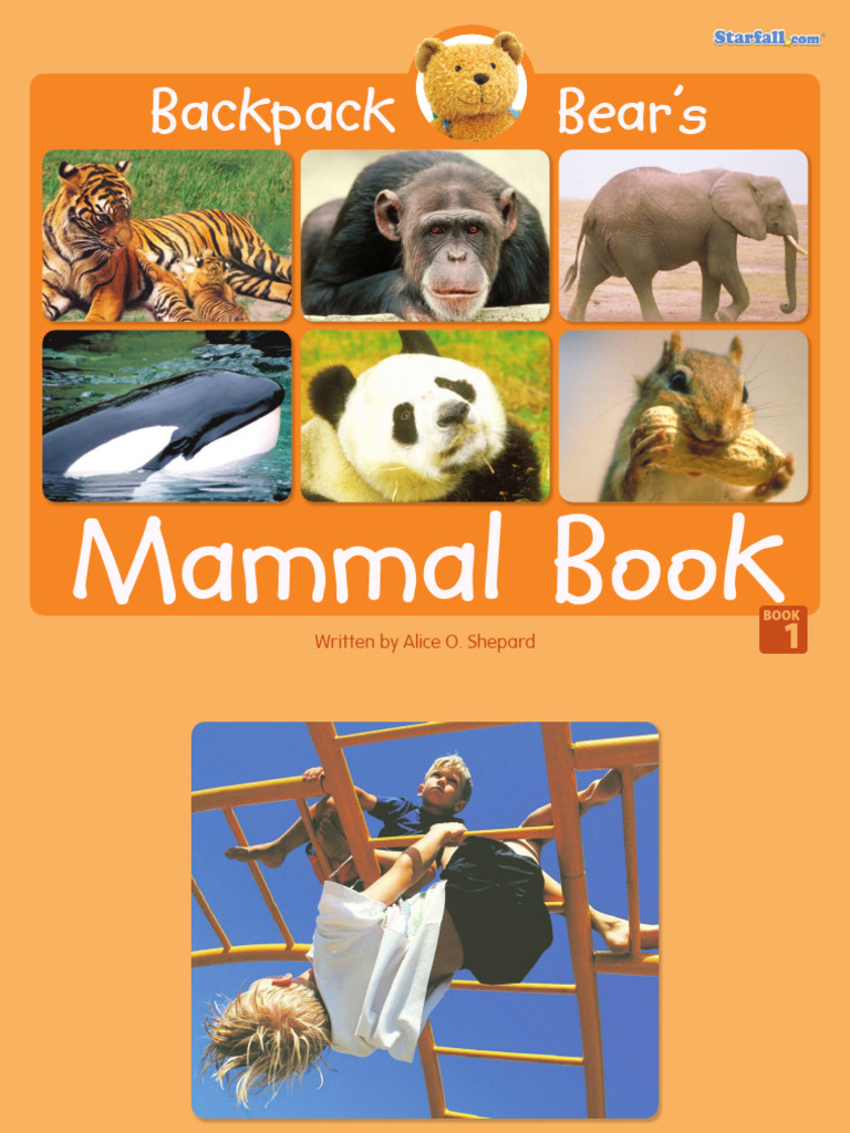 SB868 Backpack Bears Mammal Book | PDF | Mammals | Thermoregulation