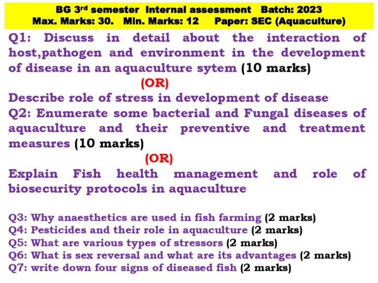 Skill Queation Paper 3rd Sem | PDF