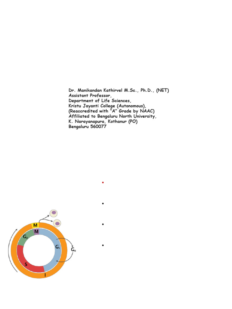 Lecture 1,2,3 Mitosis | PDF | Mitosis | Cell Cycle Lecture 1,2,3 Mitosis | PDF | Mitosis | Cell Cycle