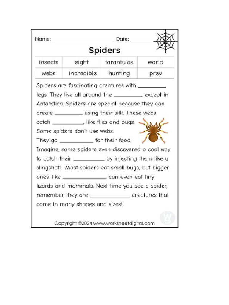 Spider | PDF