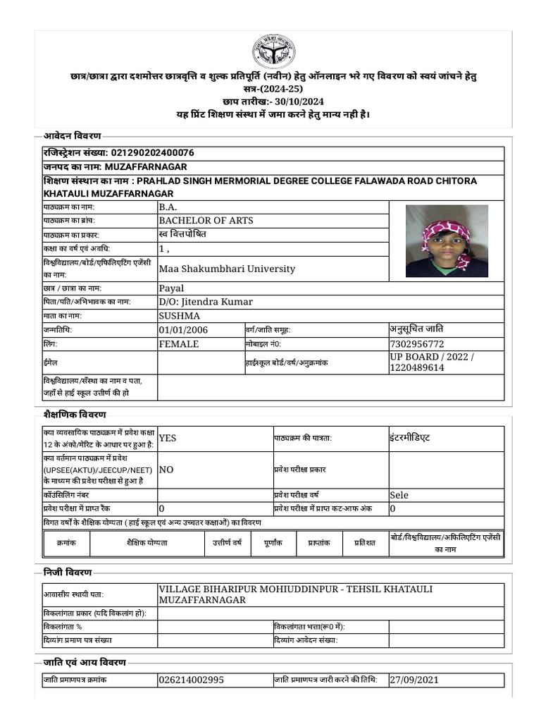 Summary Report Payal | PDF