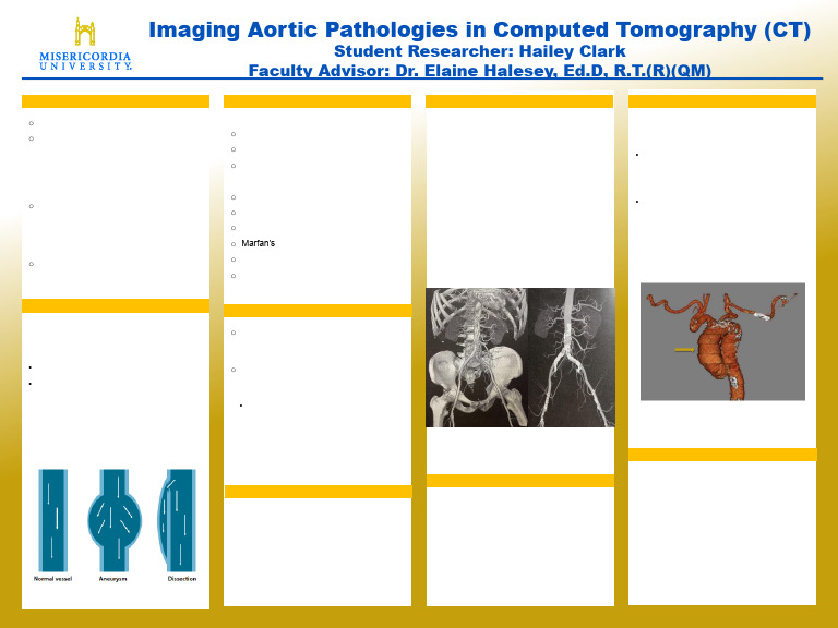 Imaging Aortic Pathologies in Computed Tomography (CT) | PDF | Aorta ...