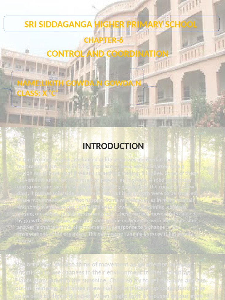 Science Internal Assessment Pdf Nervous System Neuron