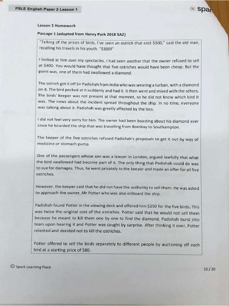 Lesson 1-HW Pg10 To Pg20 | PDF