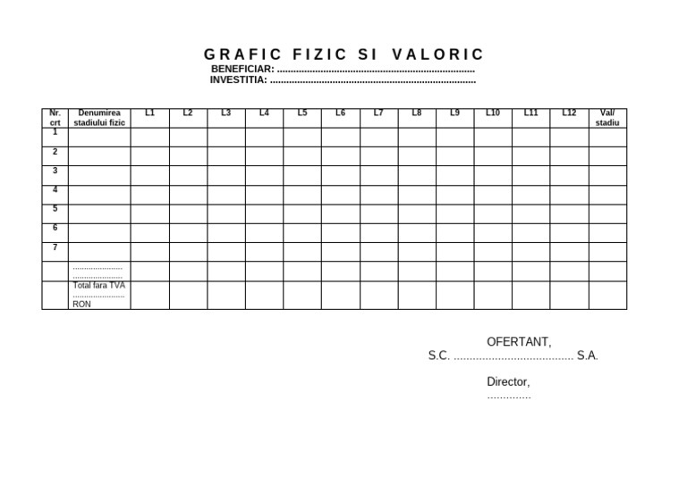 Grafic Executie Fizic Valoric 12luni C1 | PDF