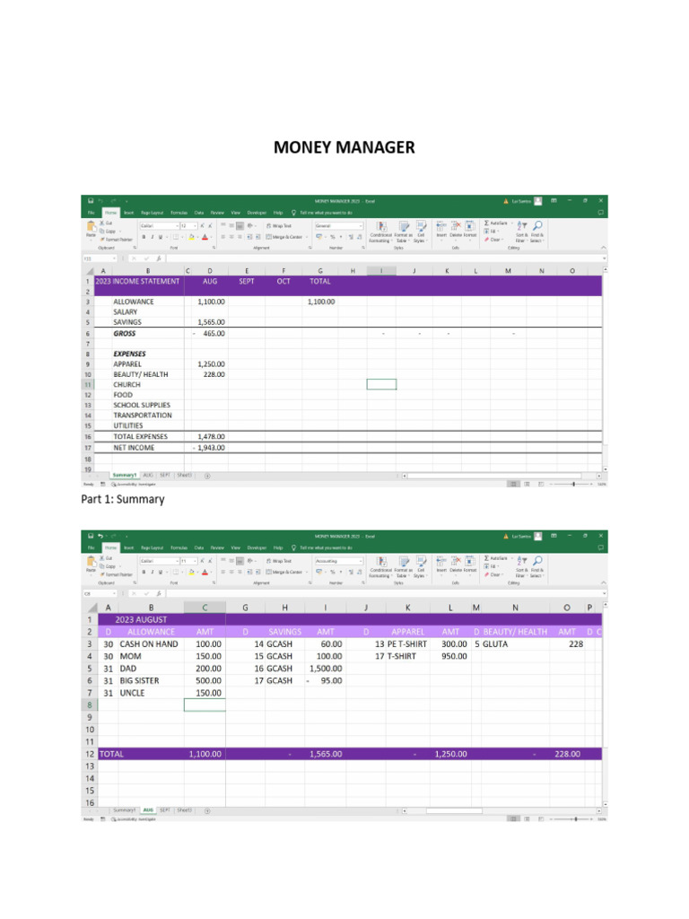 Money Manager Tutorial Guide | PDF
