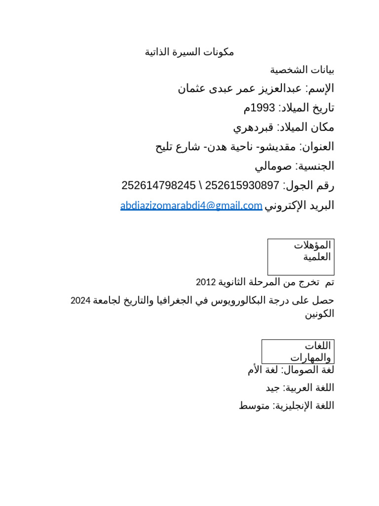 CV Arabic Abdiaziz | PDF