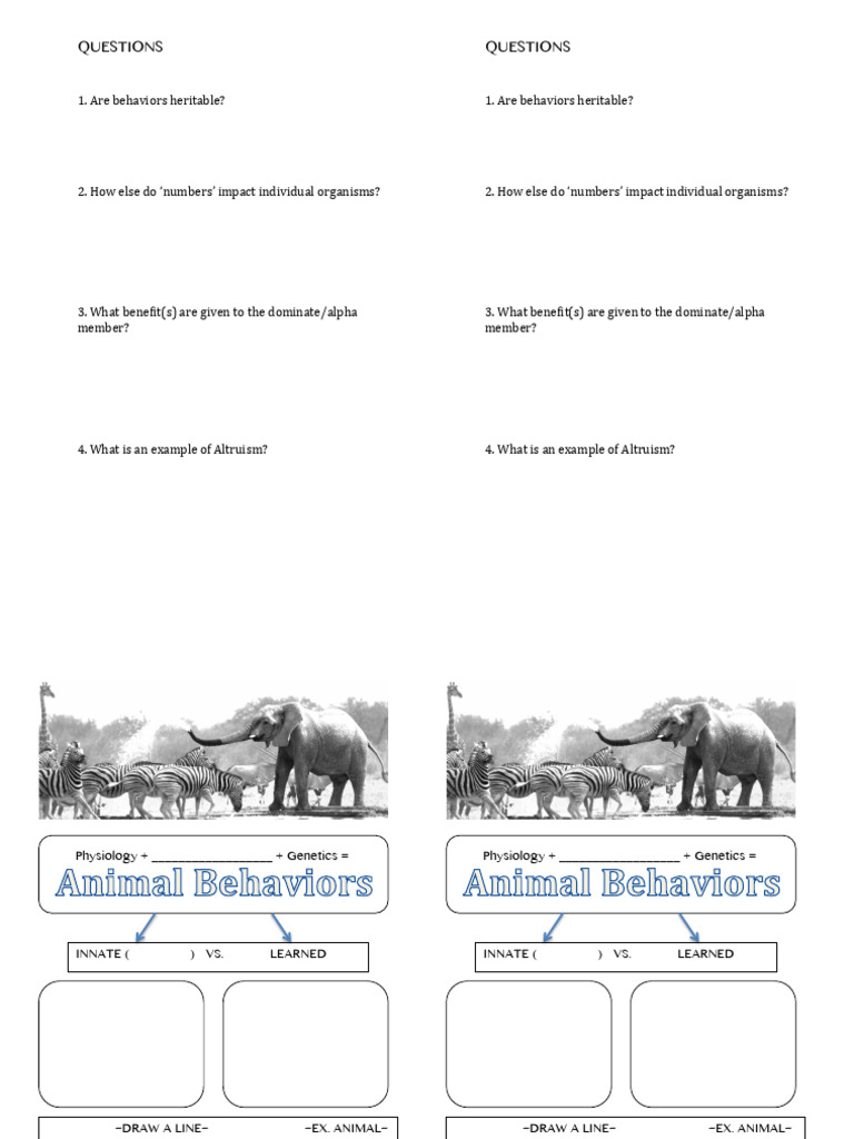 Animal Behaviors Insert 18-19 | PDF | Psychological Concepts ...