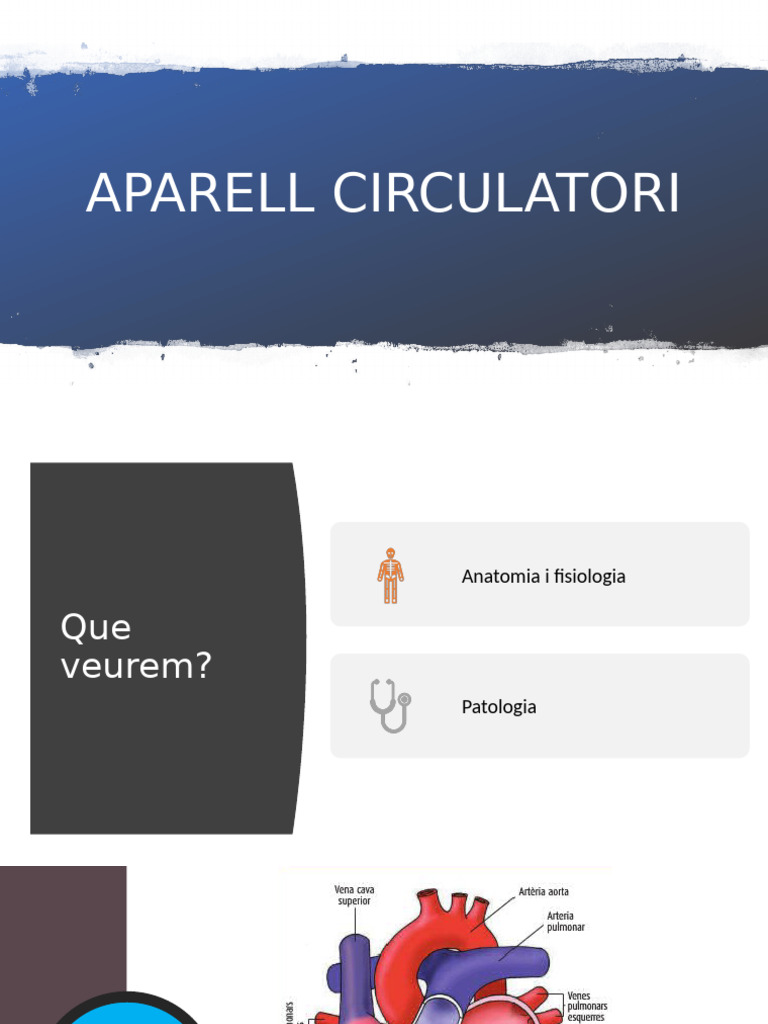 Aparell Circulatori | PDF