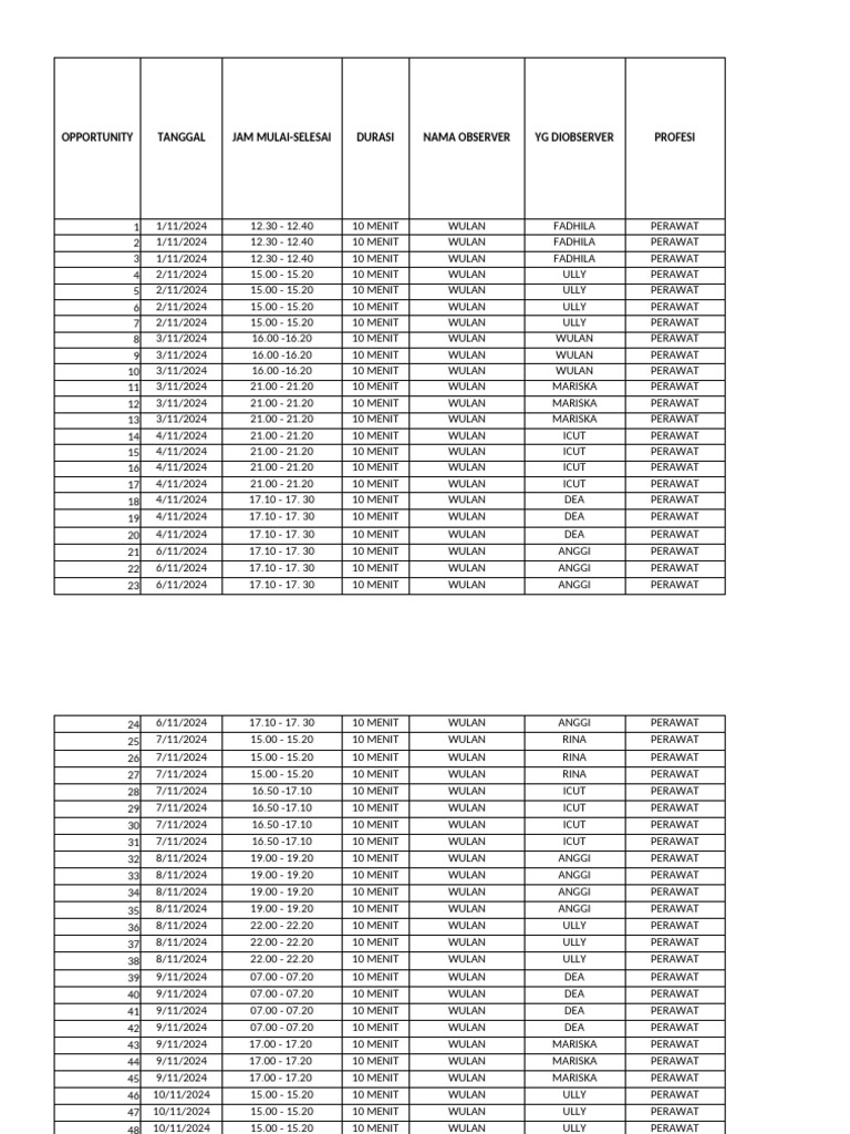 Perina Form Audit HH November 2024 | PDF