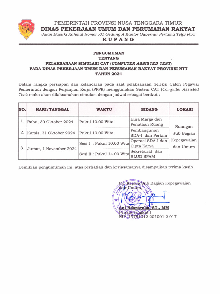 Pengumuman Simulasi CAT | PDF