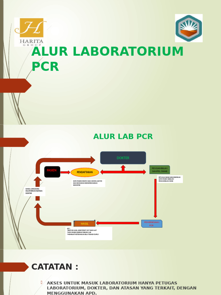 ALUR LABORATORIUM PCR | PDF