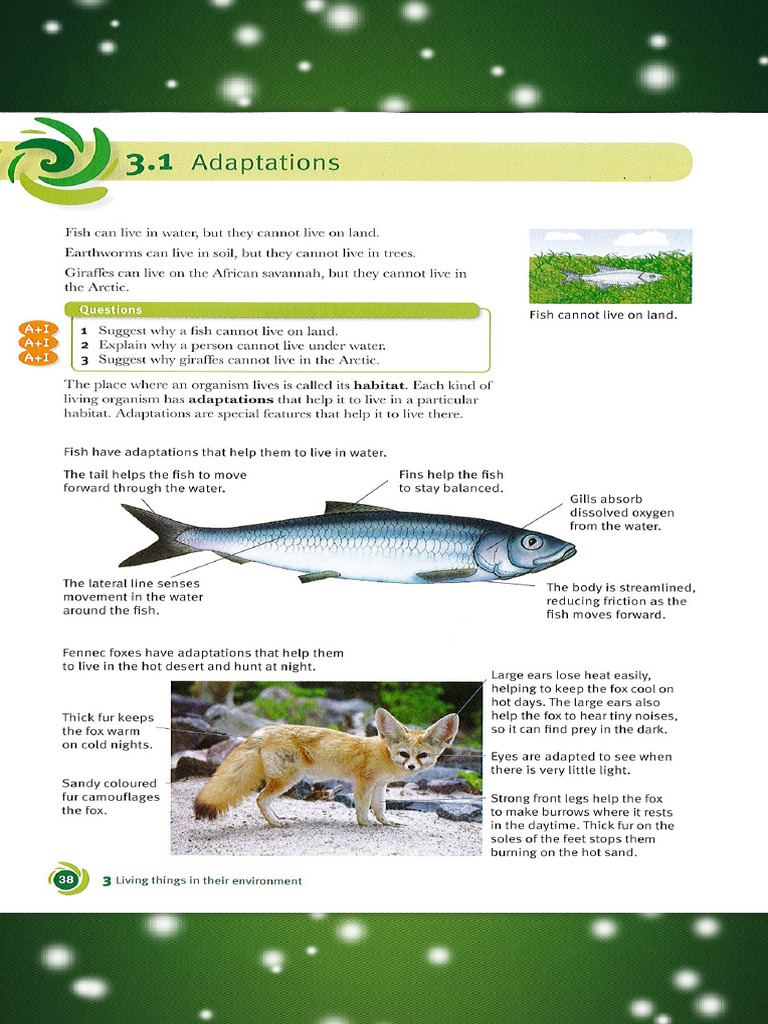 Cambridge Checkpoint Science Coursebook 6 | PDF