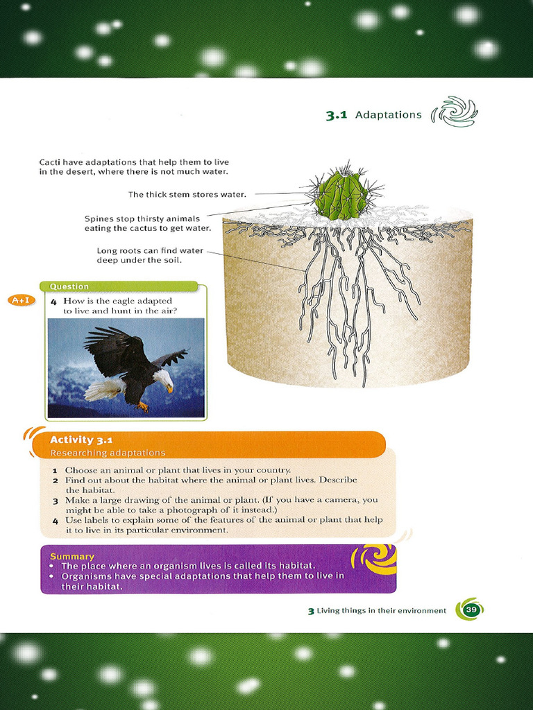 Cambridge Checkpoint Science Coursebook 8 | PDF