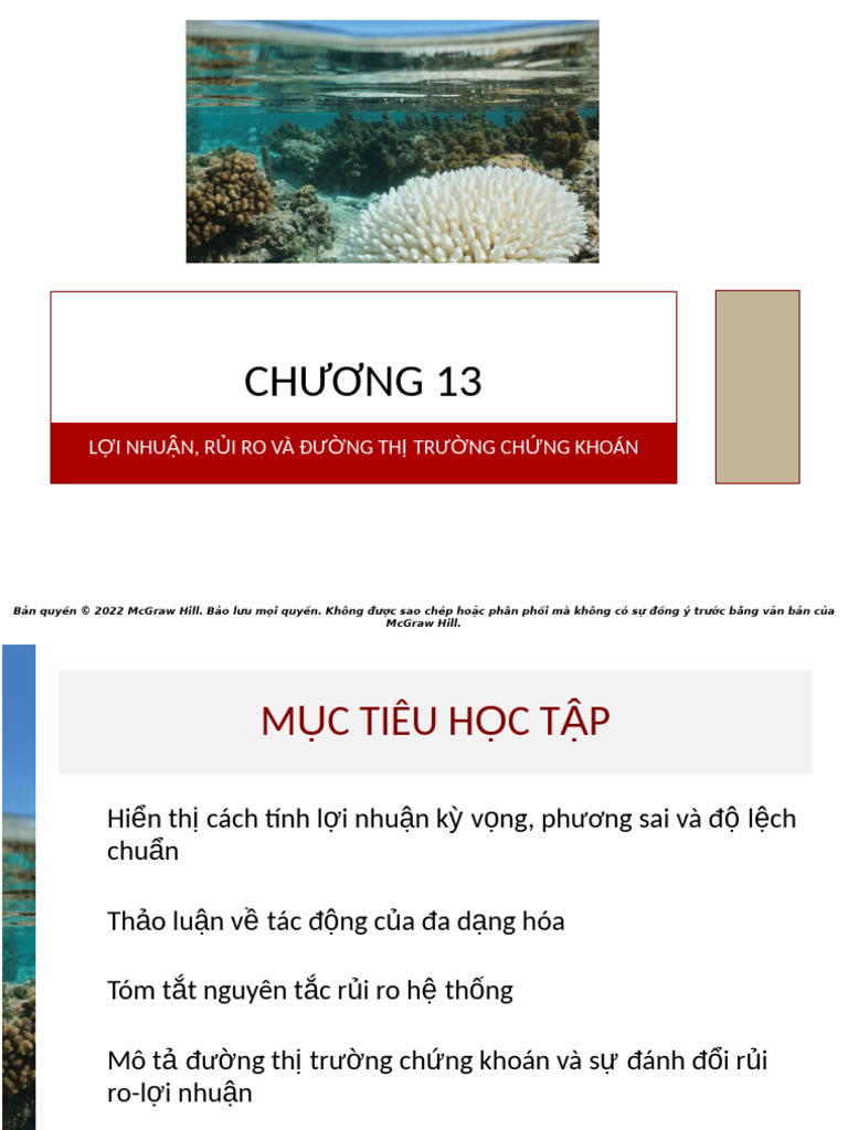 Ross Fundamentals of Corporate Finance 13e CH13 | PDF