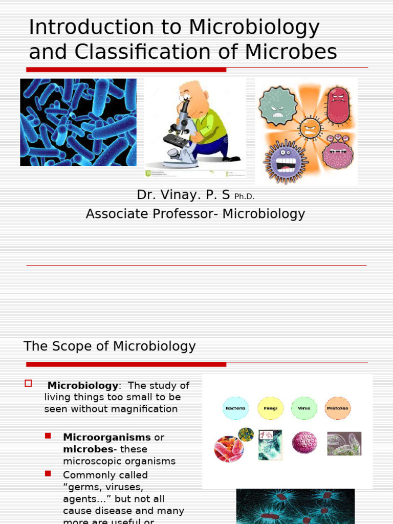Microbiology: Classification of Microbes | PDF | Bacteria | Microorganism