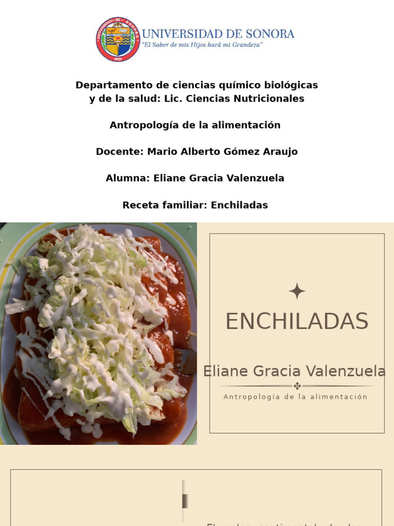 Enchiladas: Receta Familiar Tradicional | PDF