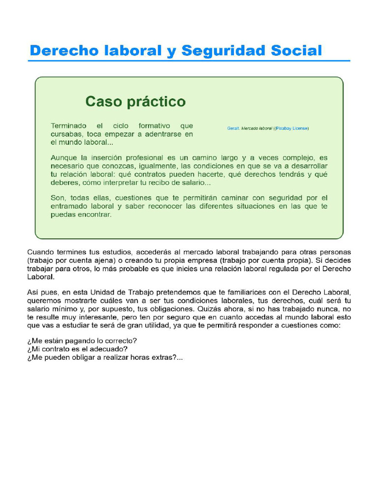 Derecho_laboral_y_Seguridad_Social tema 2-comprimido-páginas-1-50 parte 1 | PDF