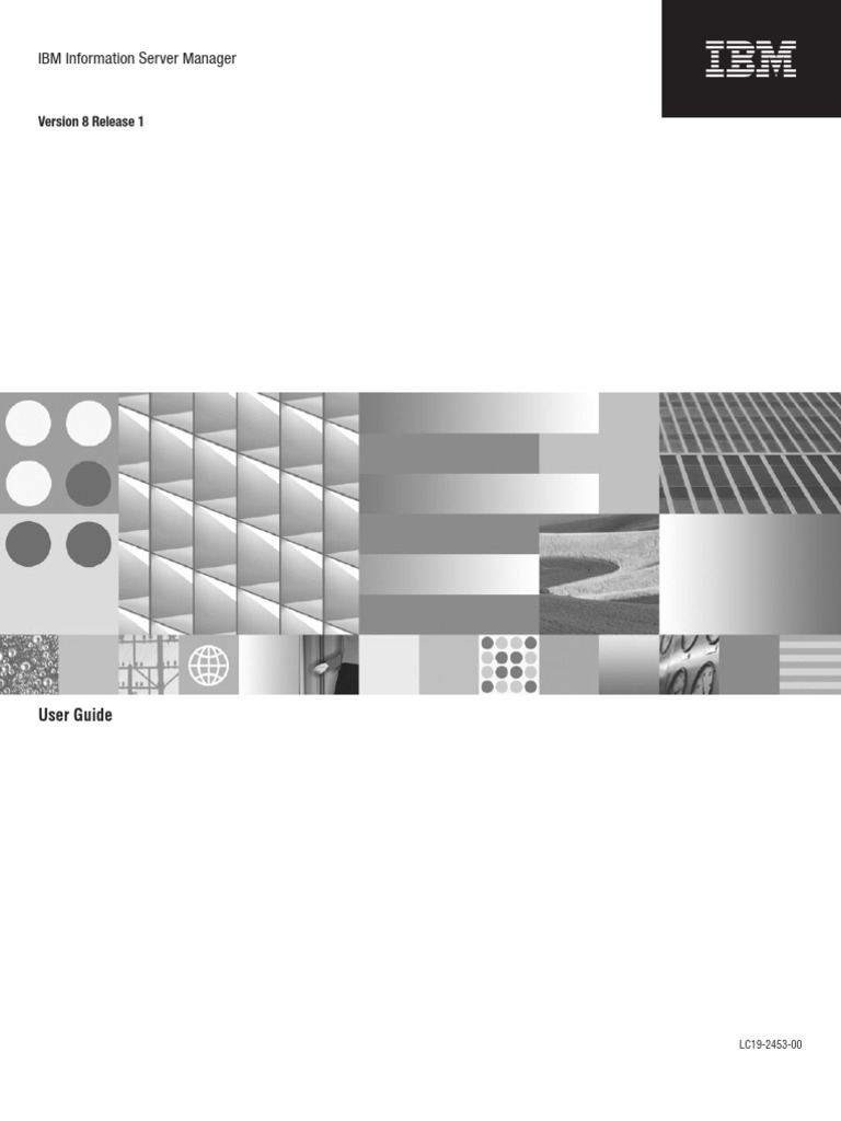 IBM Information Server Manager User Guide - I46dedpy | PDF | Command ...