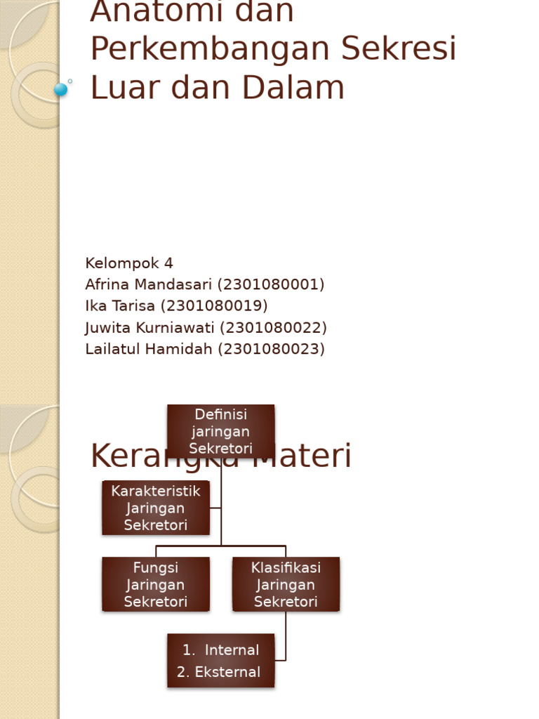 Anatomi Jaringan Sekretori Tumbuhan | PDF