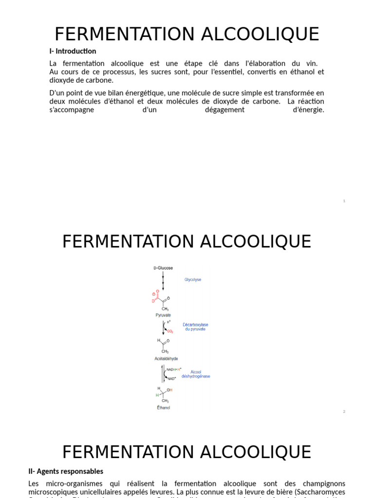 5-Fermentation Alcoolique | PDF | Levure