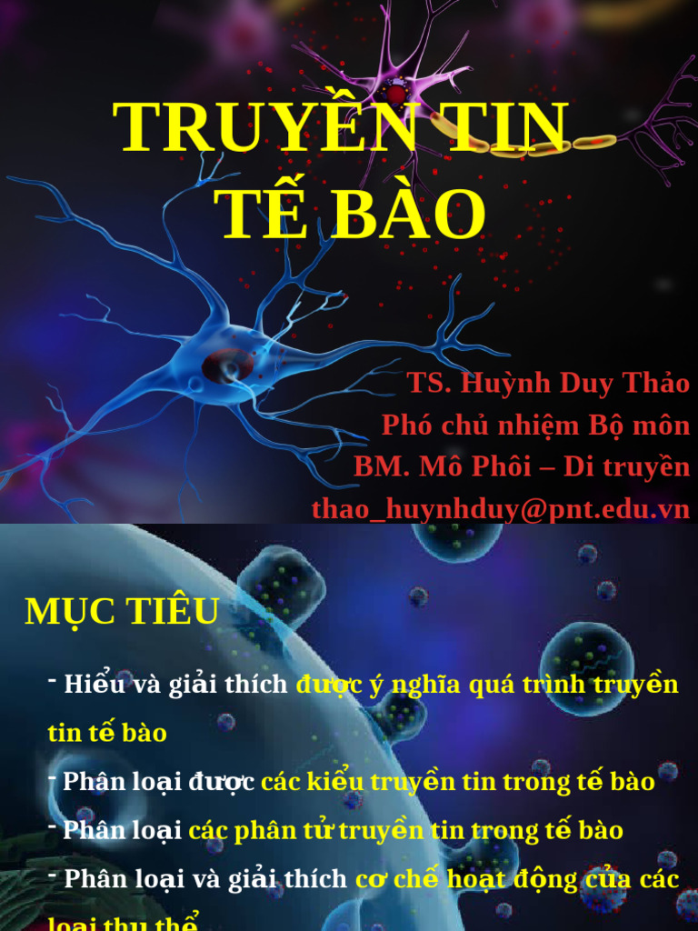 Truyen Tin Te Bao SH-DT 2023 - 2024 | PDF