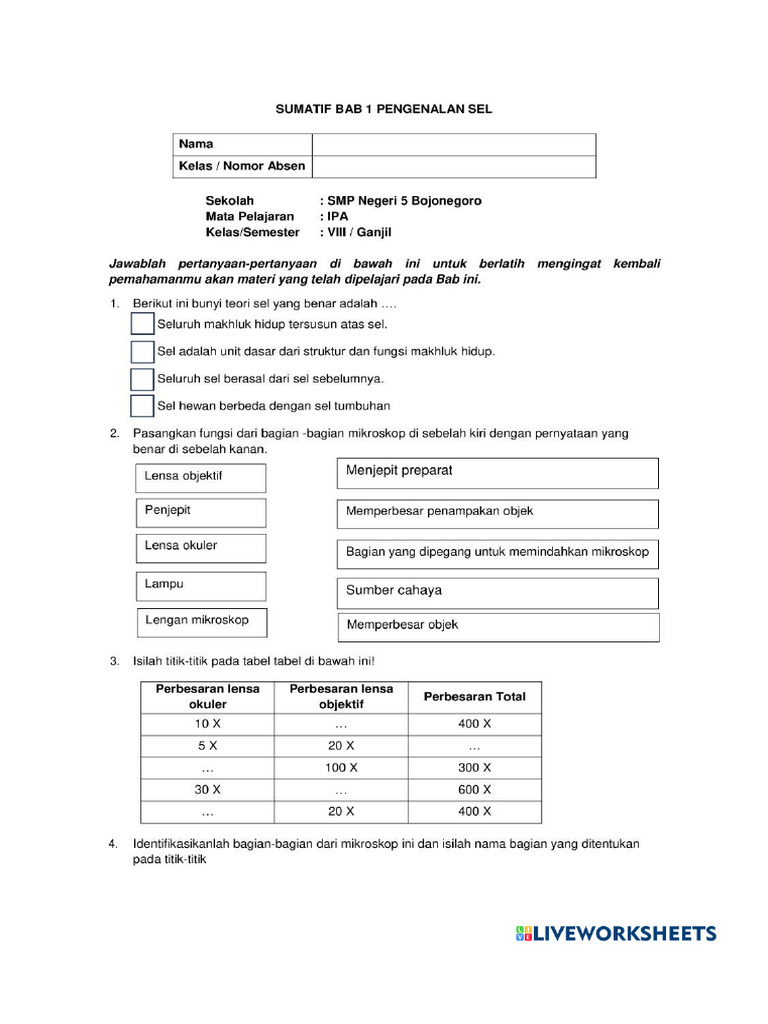 Soal Sel Ipa 8 2024 | PDF