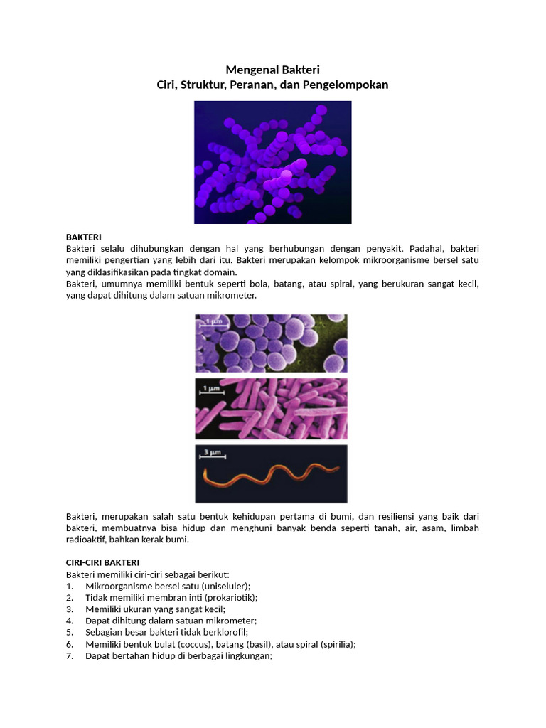 BB 10.3.1 - Mengenal Bakteri, Ciri, Struktur, Peranan, Dan ...