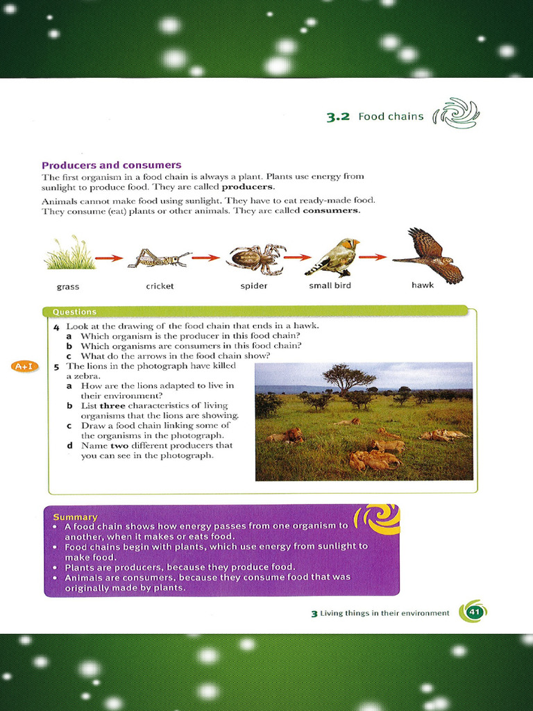Cambridge Checkpoint Science Coursebook 10 | PDF