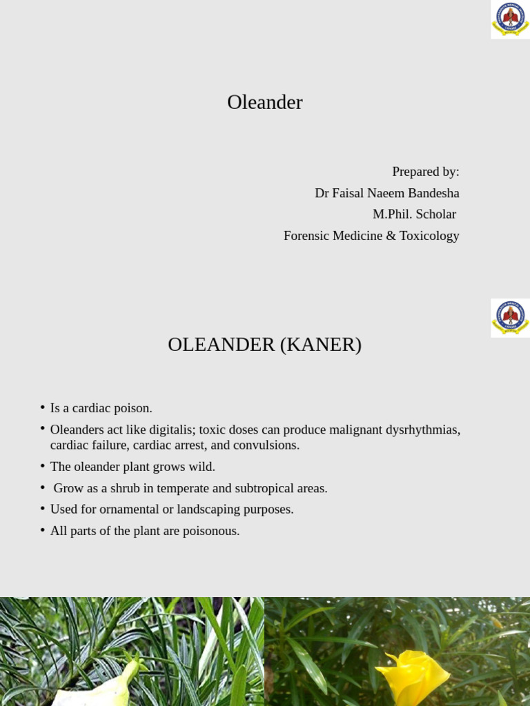Oleander | PDF | Medical Specialties | Clinical Medicine