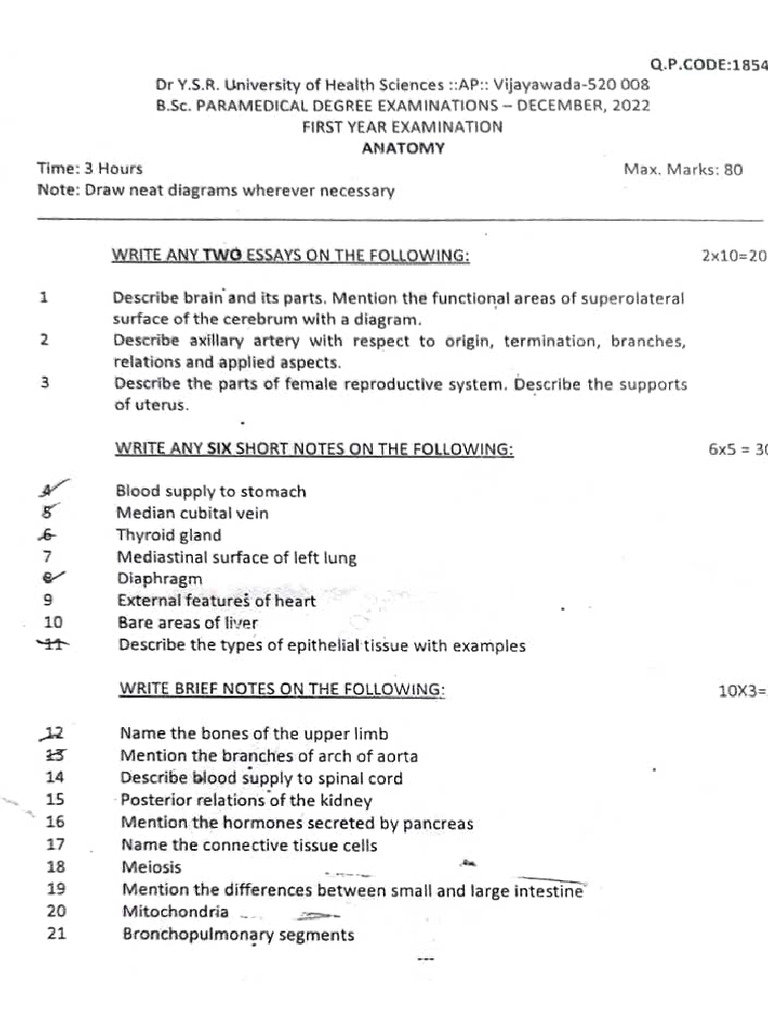 Anatomy Question Papers | PDF