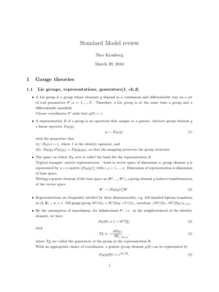 Nico | PDF | Gauge Theory | Particle Physics