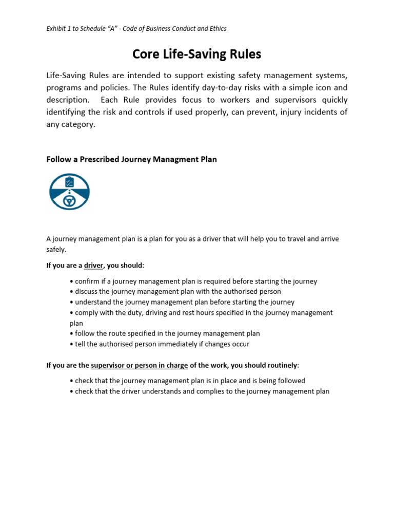 Core Life-Saving Rules for Workplace Safety | PDF | Seat Belt | Safety