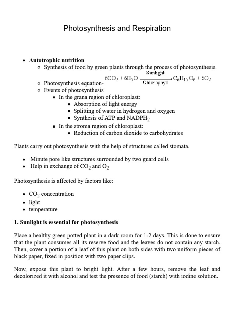 Photosynthesis and Respiration Revision | PDF | Cellular Respiration ...