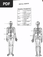 Dog Acupressure Chart and Pressure Points | PDF | Abdomen | Foot