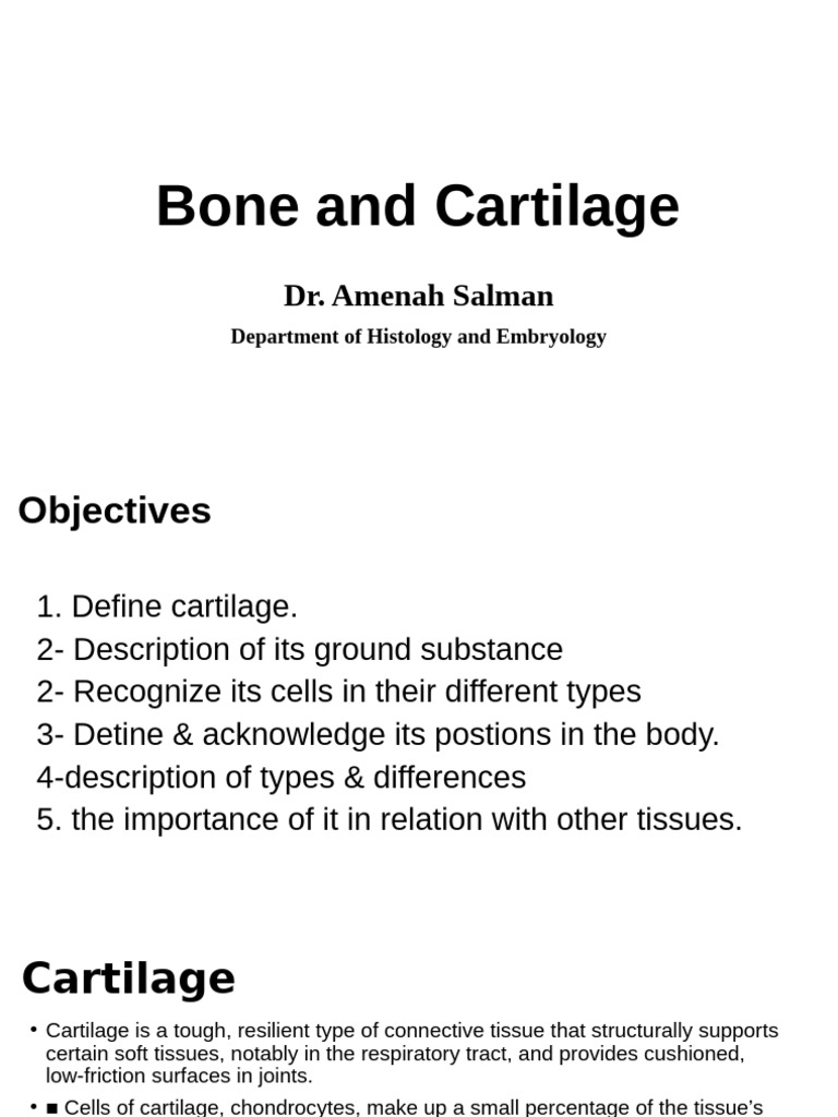 2. Bone, Cartilage | PDF | Bone | Cartilage