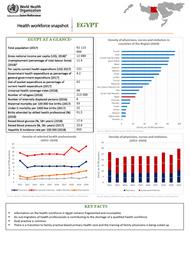 Health Workforce Snapshot EGYPT | PDF | Arab World | Health Human Resources