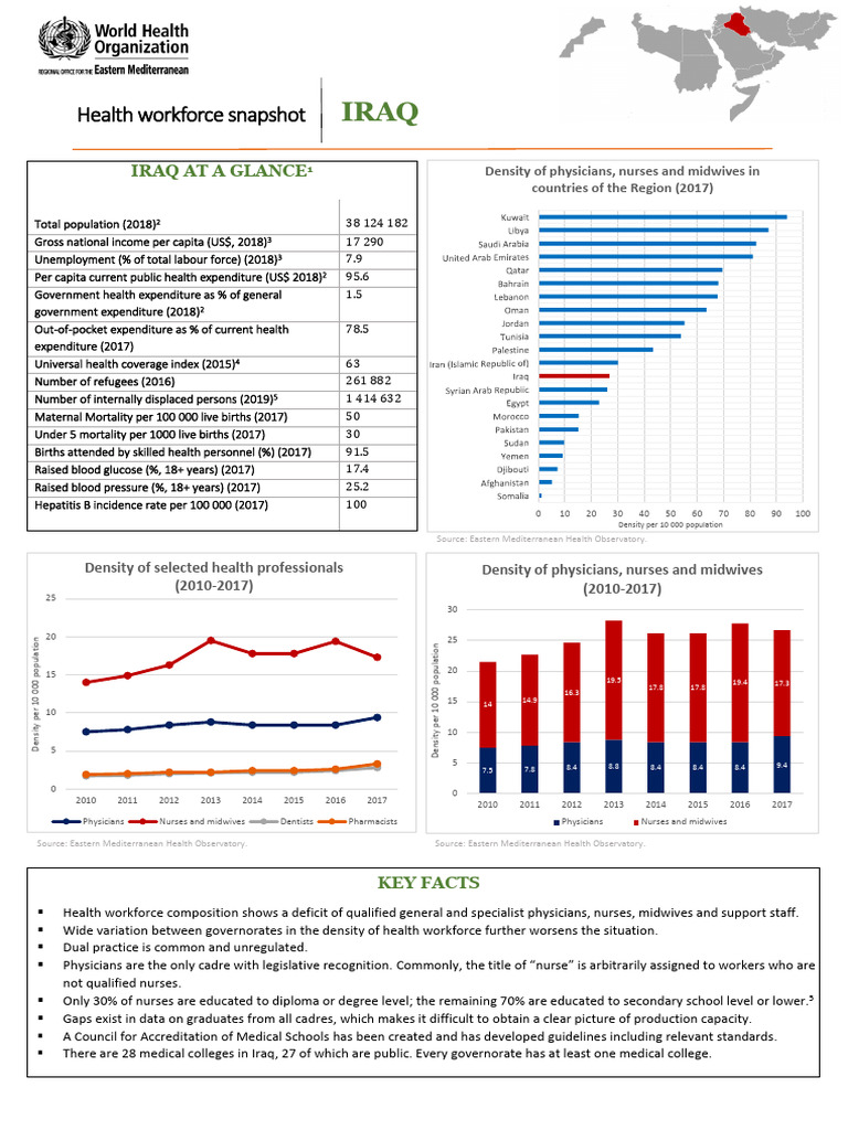 Health Workforce Snapshot IRAQ | PDF | Health Human Resources | Nursing