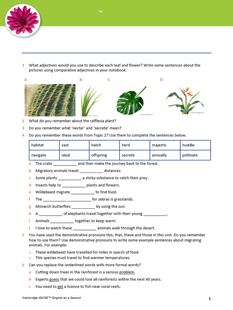 Igcse Esl Review U2 Pdf English Language Linguistics
