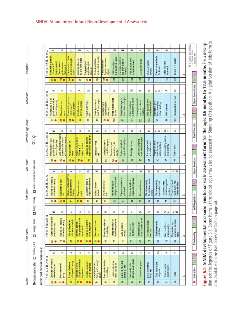 SINDA-Developmental-scale-6.5-12.5-months | PDF | Linguistics | Human Voice