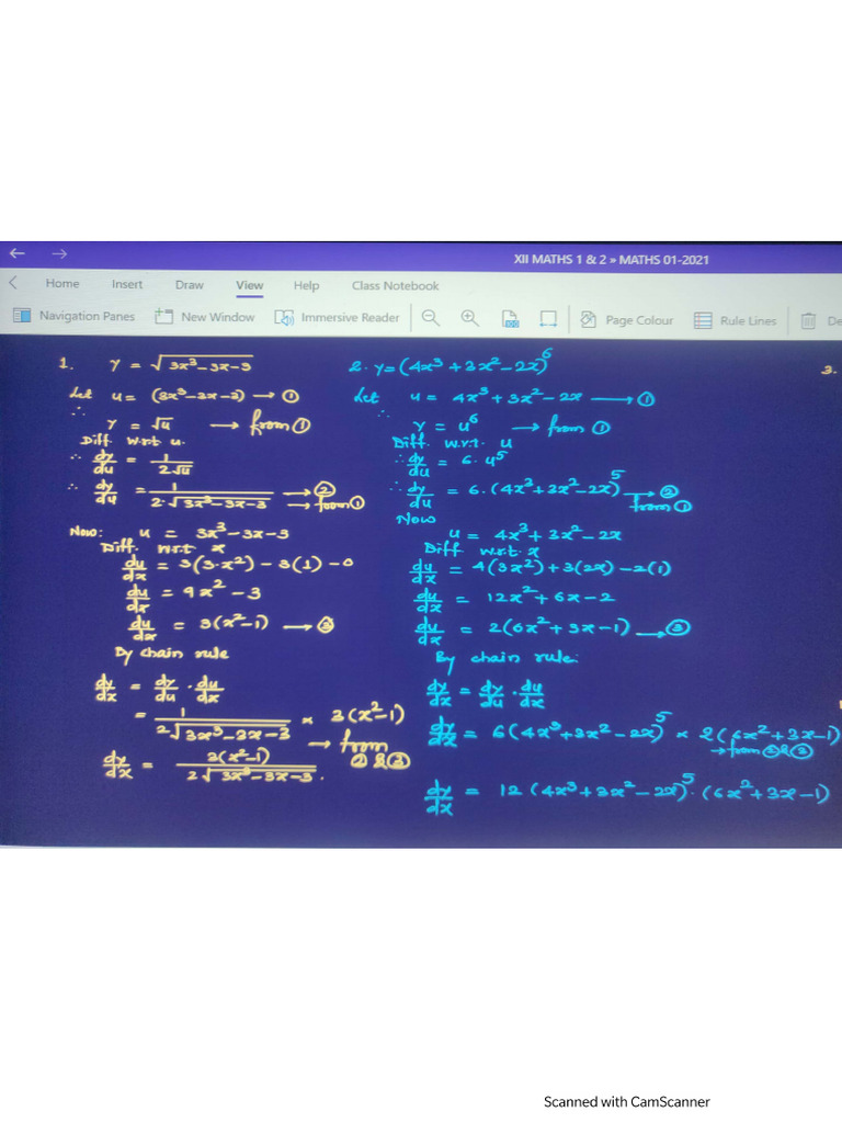 Xii Differentiation Homework Solutions | PDF
