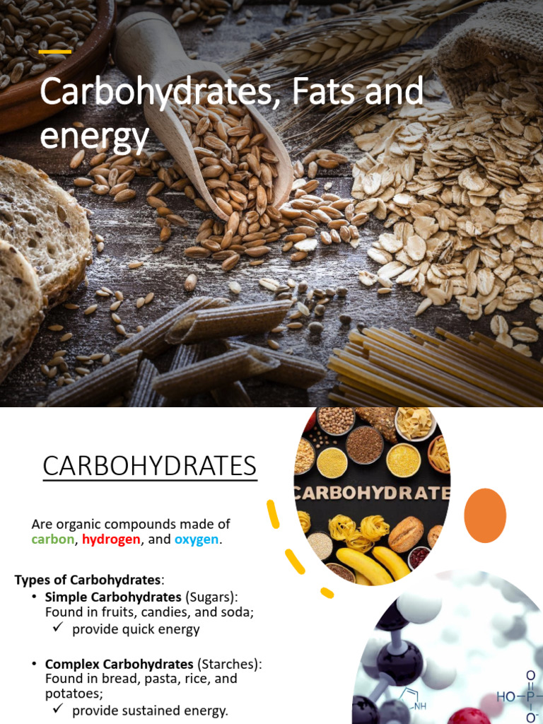 Carbohydrates, Fats and Energy | PDF