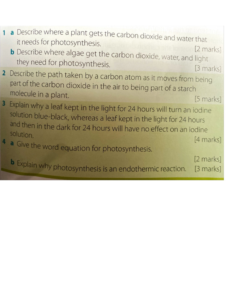 Photosynthesis Homework | PDF